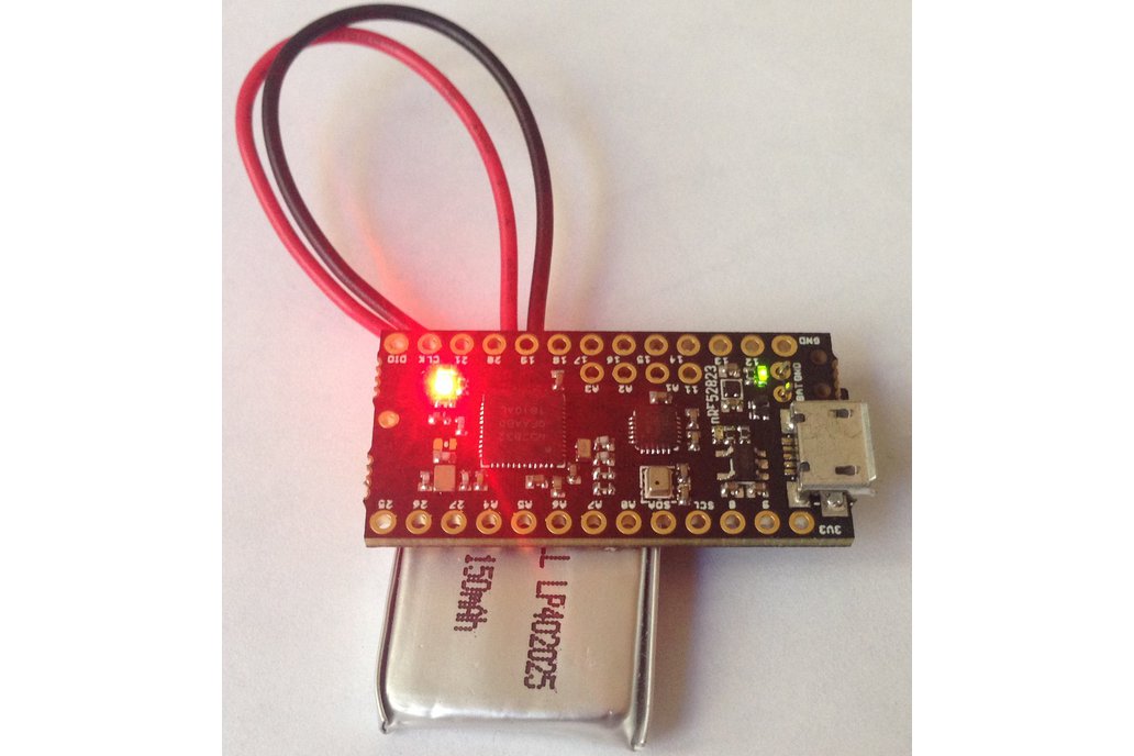 nRF52832 Development Board from Pesky Products on Tindie