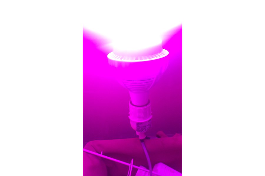 50W LED lamp with multicolor chip from Power_Modules on Tindie