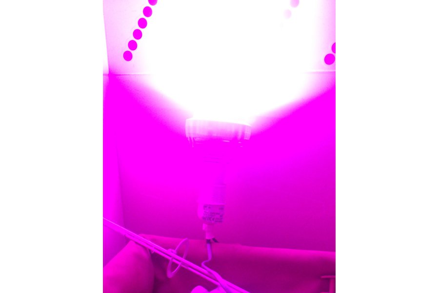 50W LED lamp with multicolor chip from Power_Modules on Tindie